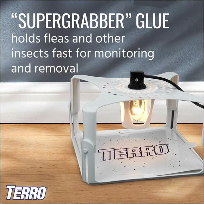 TERRO® Flea Trap Refill Glue Boards - Virginia - Maryland - West ...